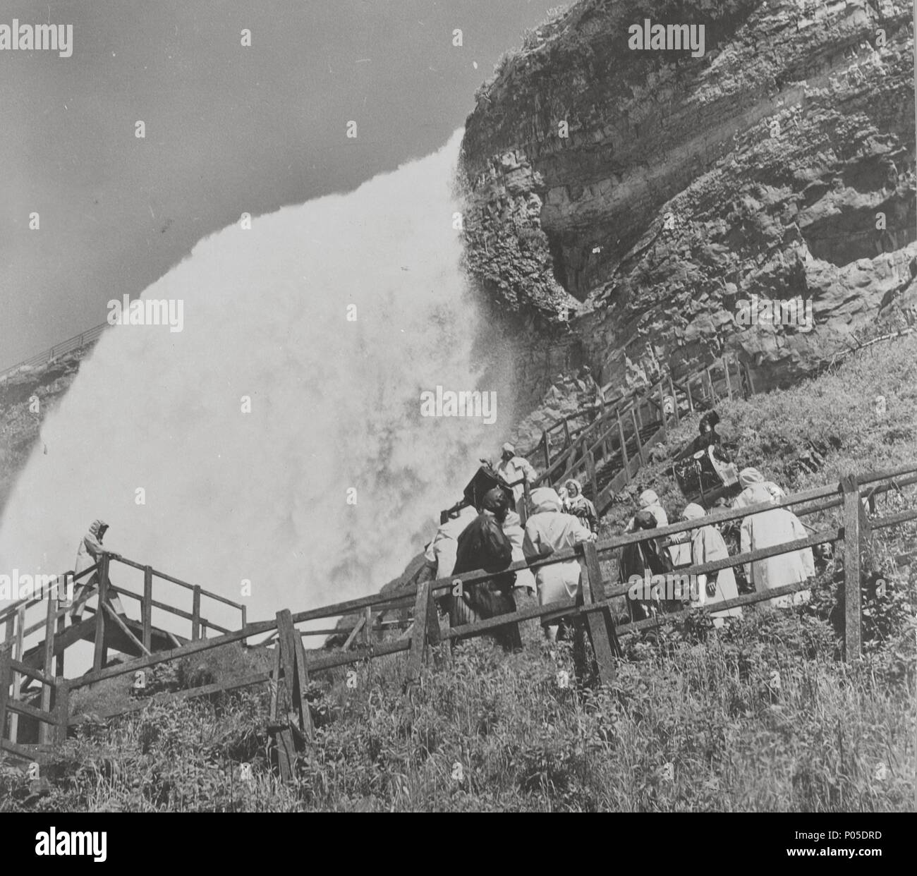 Original Film Title: NIAGARA. English Title: NIAGARA. Film Director ...