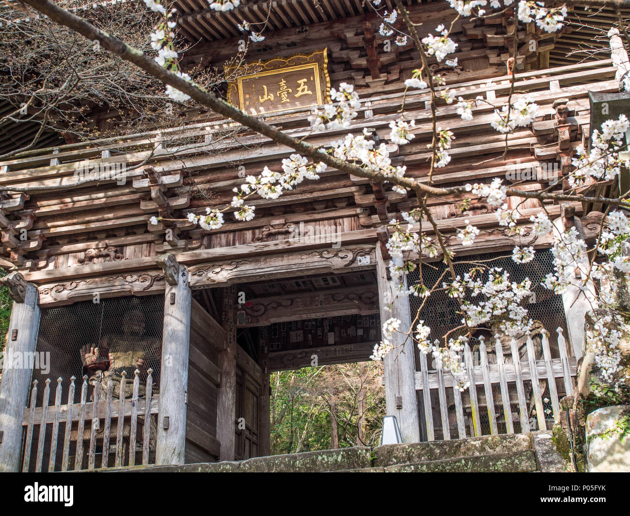 Temple Gateway, Nio guardian, wooden statue, sakura hamani cherry ...