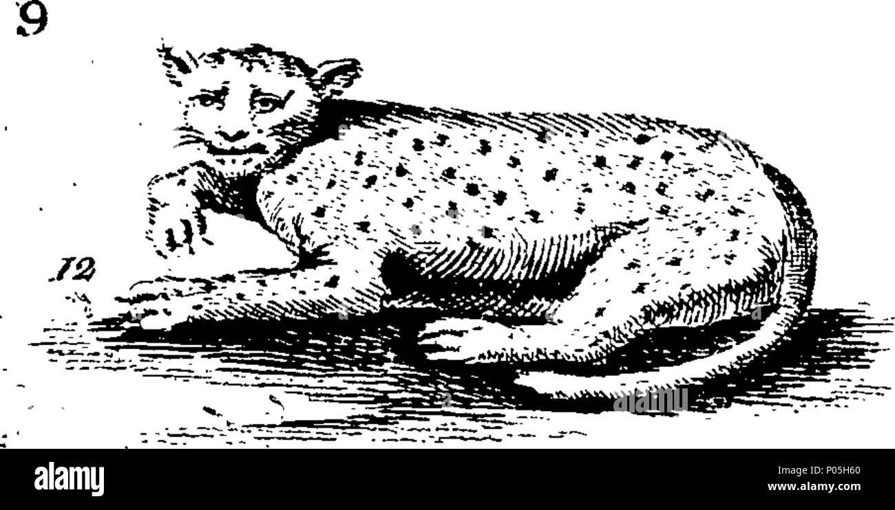 Beast depiction Black and White Stock Photos & Images - Alamy