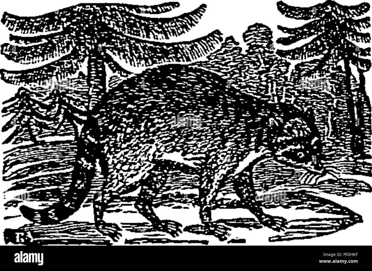 . English: Fleuron from book: A descriptive sketch of the present state ...