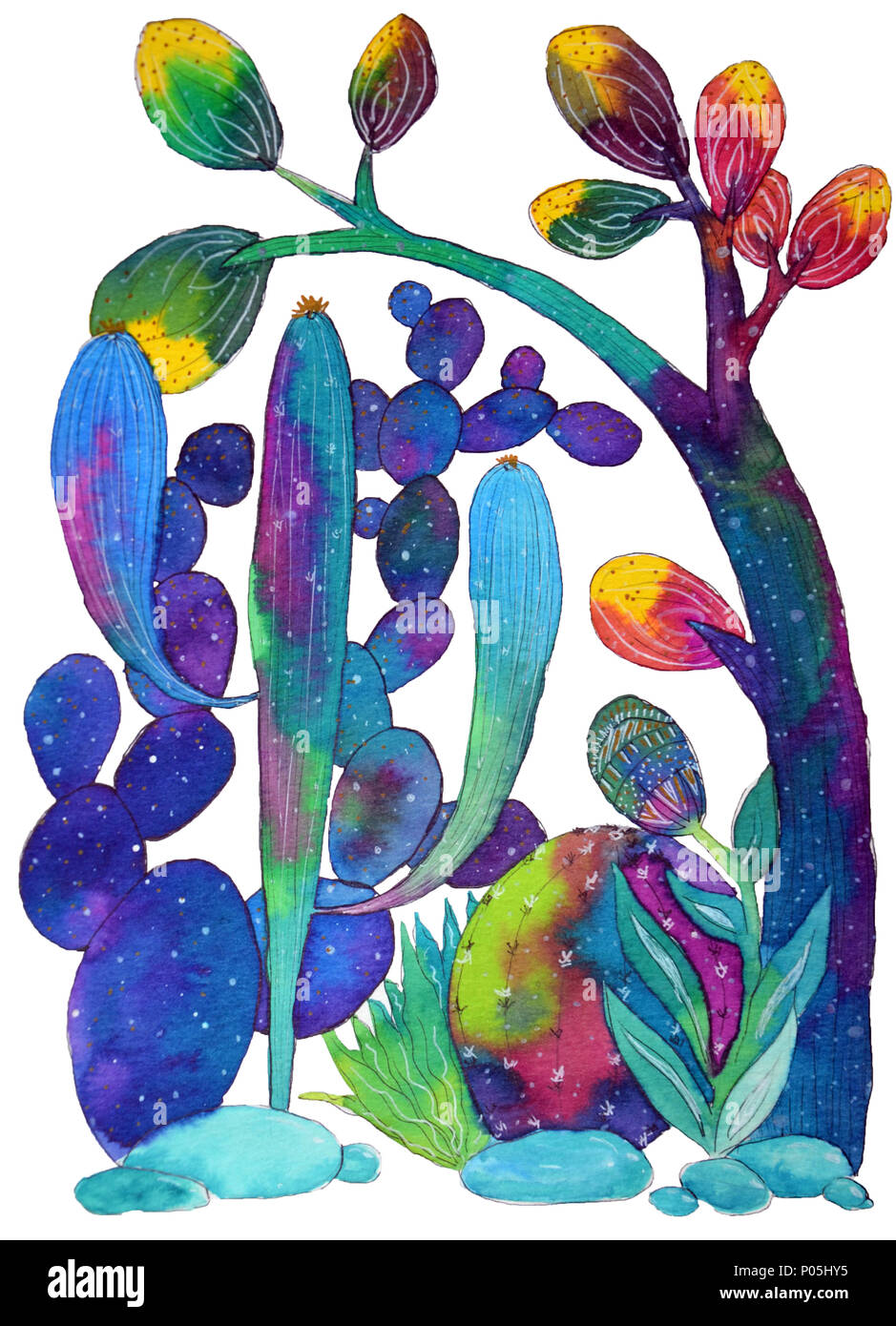 Cacti collection with flowers and other succulents il space colr Stock ...