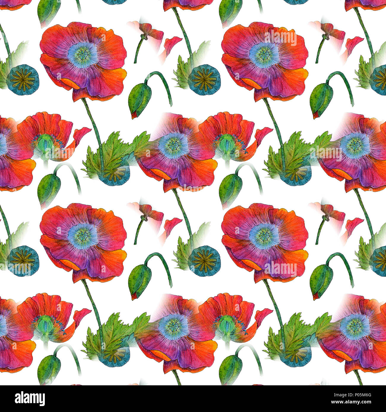 Hand drawn watercolor poppies set. Isolated. For design, print and ...