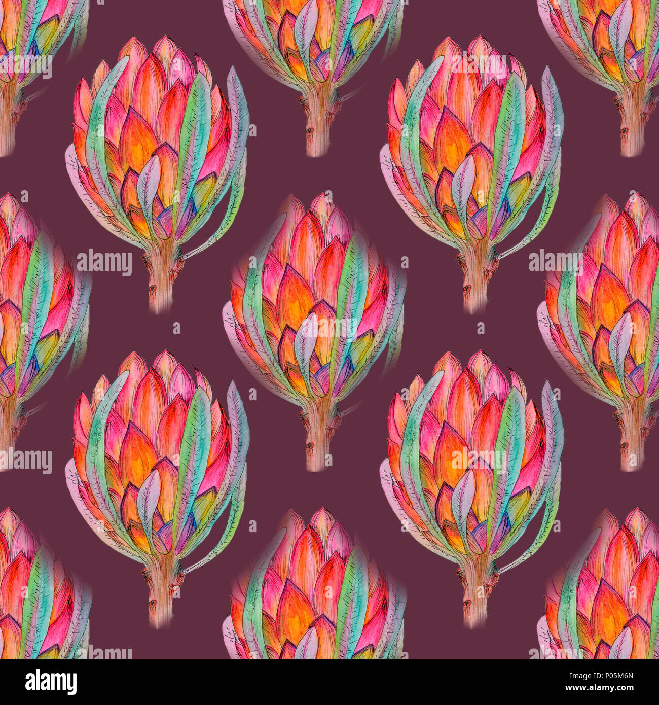 Red protea hi-res stock photography and images - Alamy