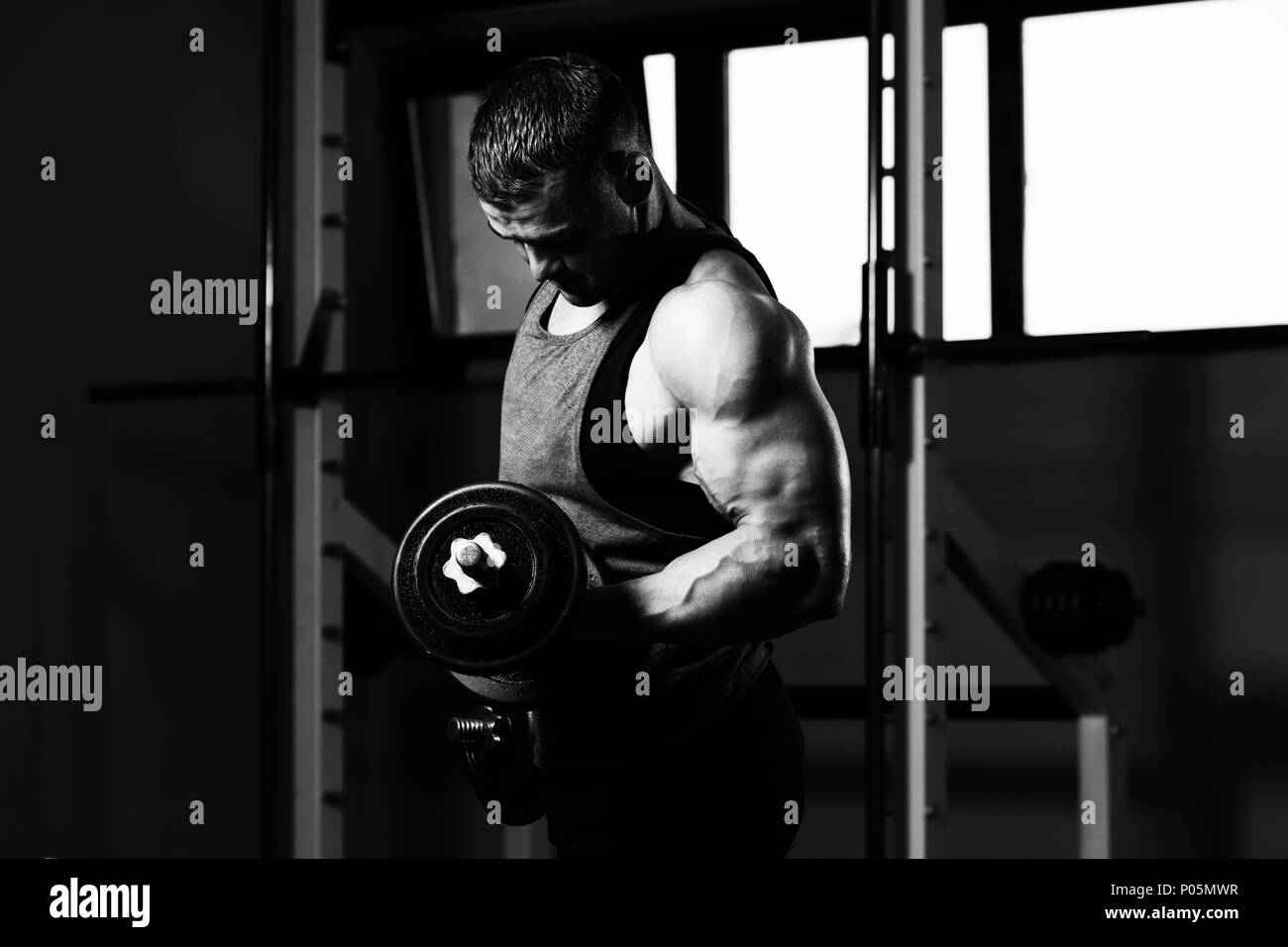 Athlete Working Out Biceps In A Gym - Dumbbell Concentration Curls ...