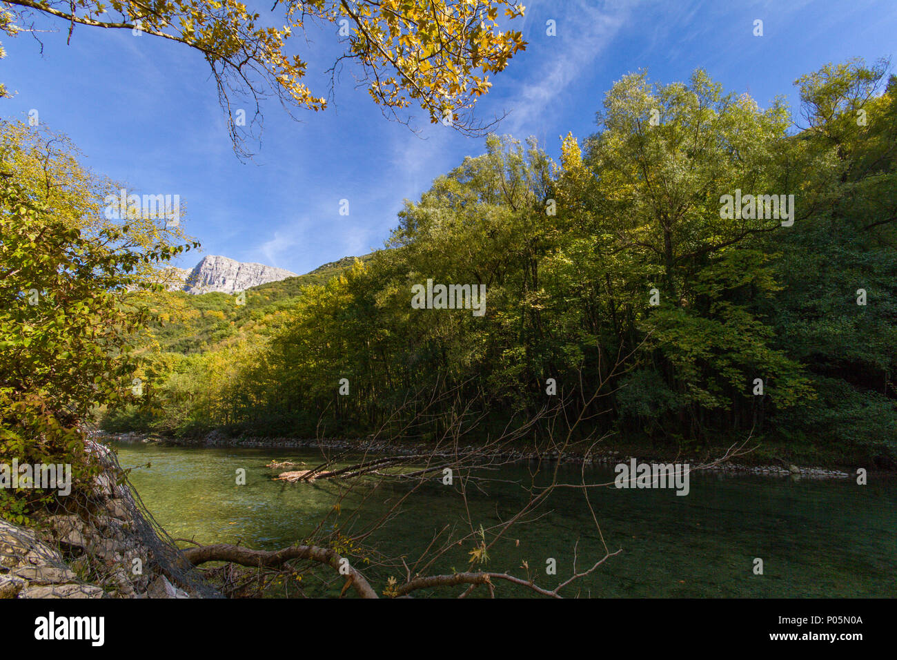 Cut trees in Voidomatis river in Zagorochoria, Epirus, Greece Stock ...
