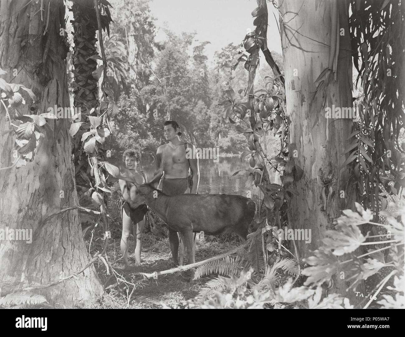 Original Film Title: TARZAN AND THE AMAZONS. English Title: TARZAN AND ...