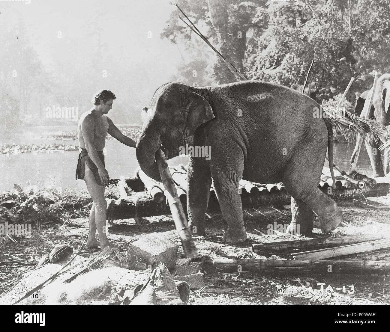 Original Film Title: TARZAN AND THE AMAZONS. English Title: TARZAN AND ...
