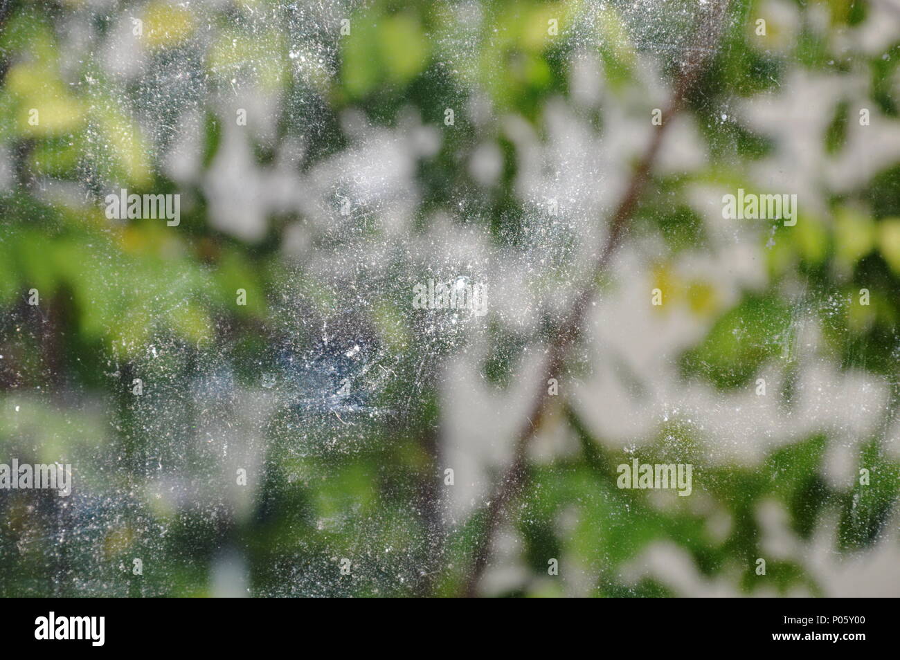 Stain dust on glass hi-res stock photography and images - Alamy