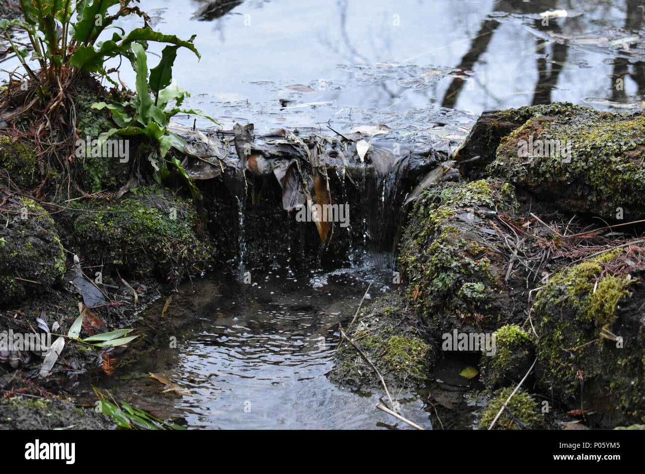 Very little water hi-res stock photography and images - Alamy