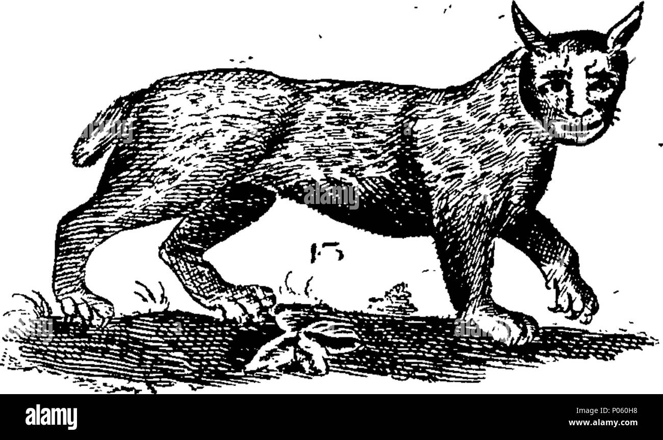 Animal copperplate engraving Cut Out Stock Images & Pictures - Alamy