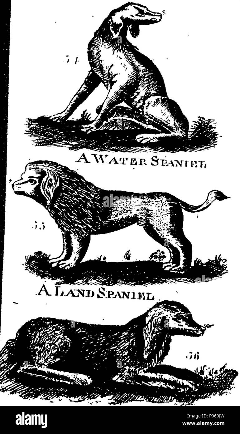 . English: Fleuron from book: A description of above three hundred ...