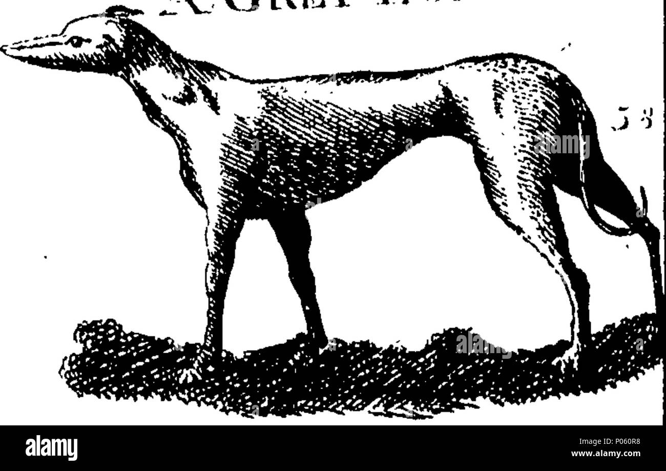 . English: Fleuron from book: A description of above three hundred ...