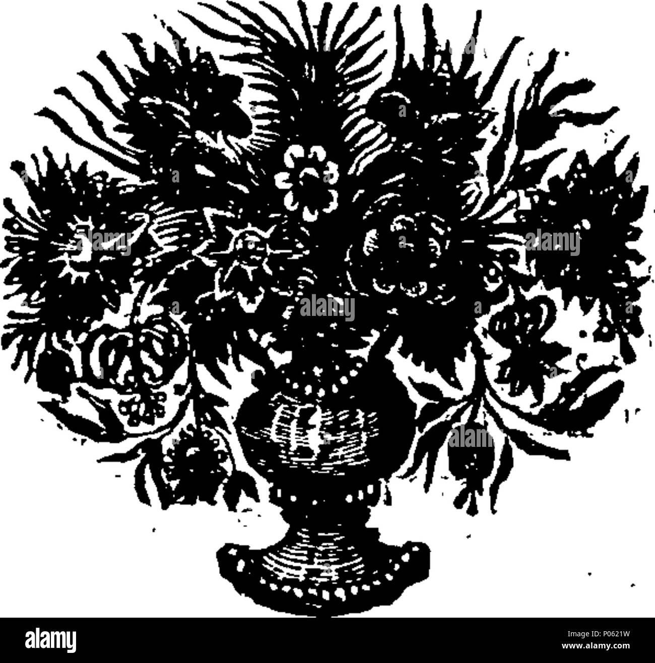 North carolana hi-res stock photography and images - Alamy