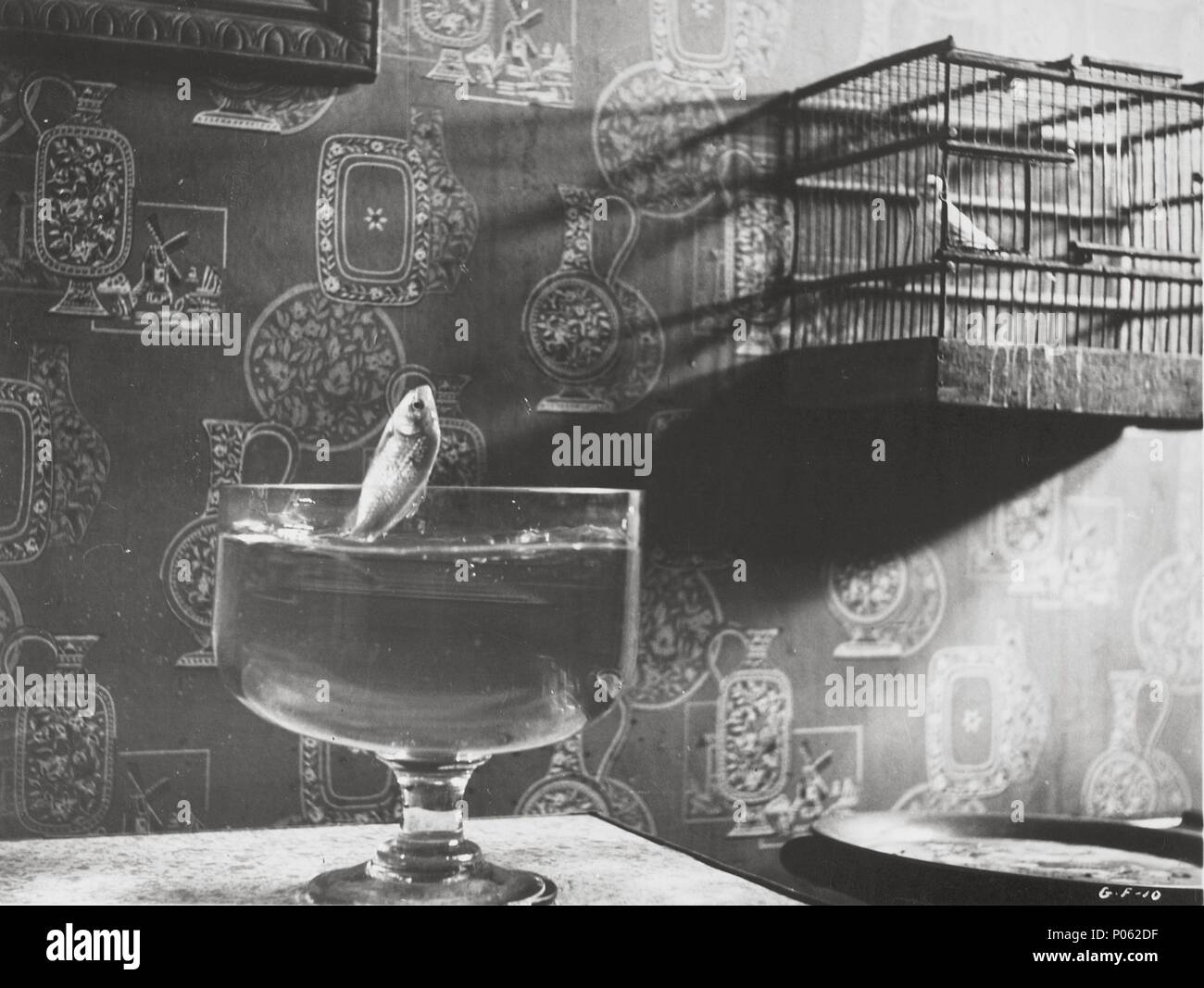 Original Film Title: HISTOIRE D'UN POISSON ROUGE. English Title: GOLDEN ...