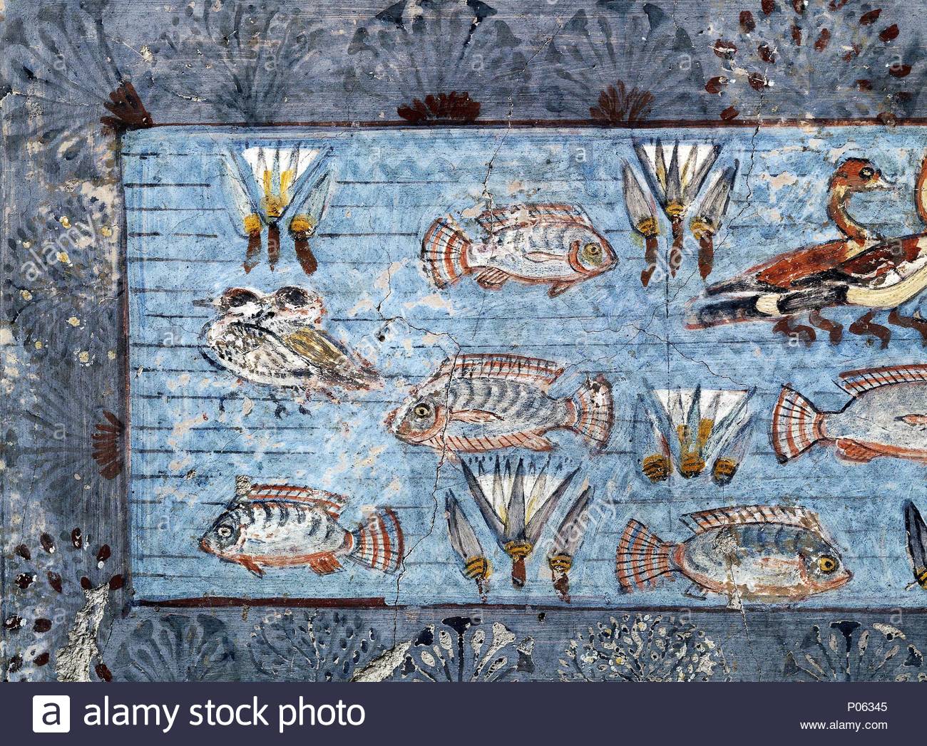 Alchemy Tree Stock Photos & Alchemy Tree Stock Images - Alamy