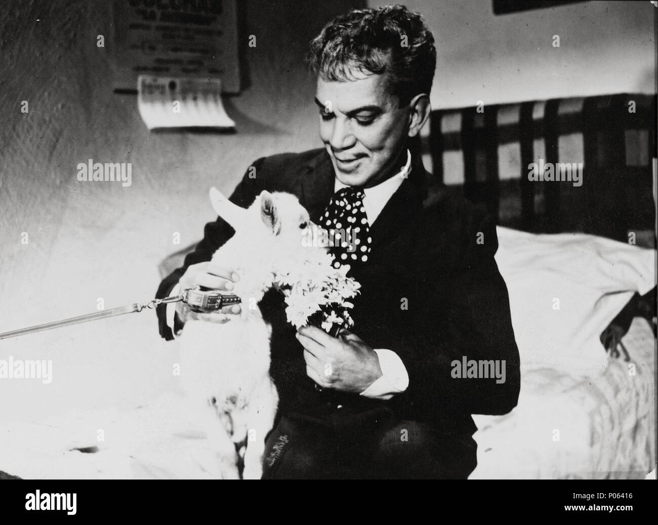 Original Film Title: QUIJOTE SIN MANCHA, UN. English Title: A QUIXOTE ...