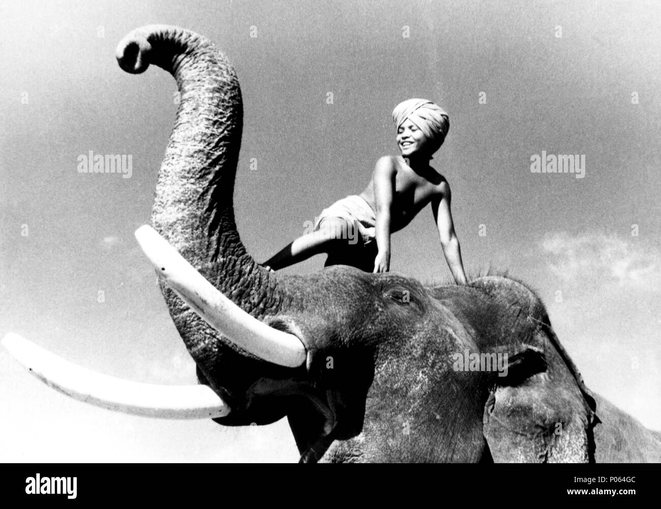 Original Film Title: ELEPHANT BOY. English Title: ELEPHANT BOY. Film ...