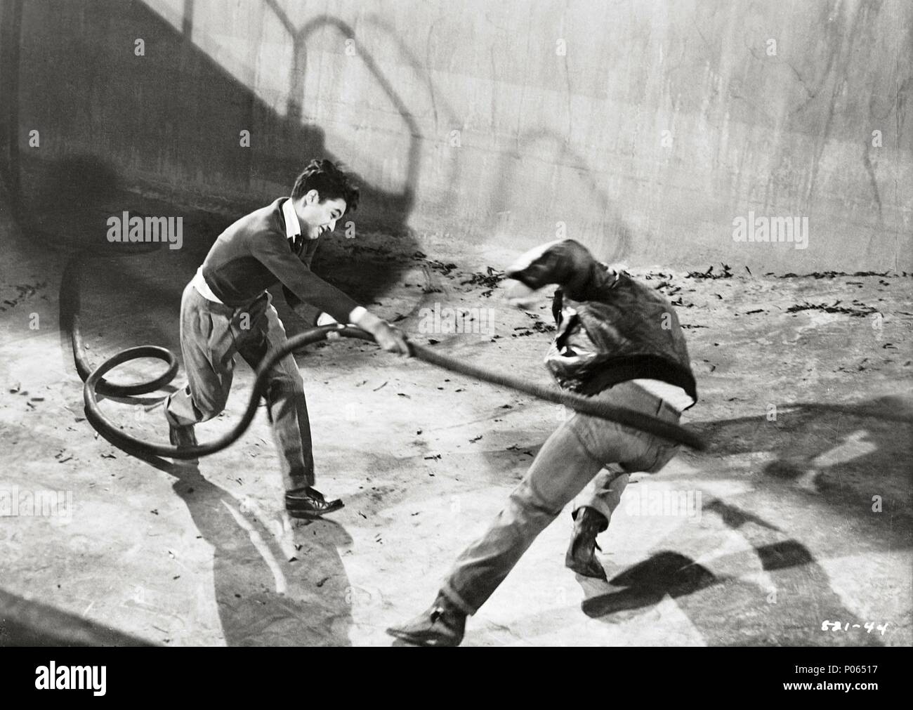 Original Film Title: REBEL WITHOUT A CAUSE. English Title: REBEL ...