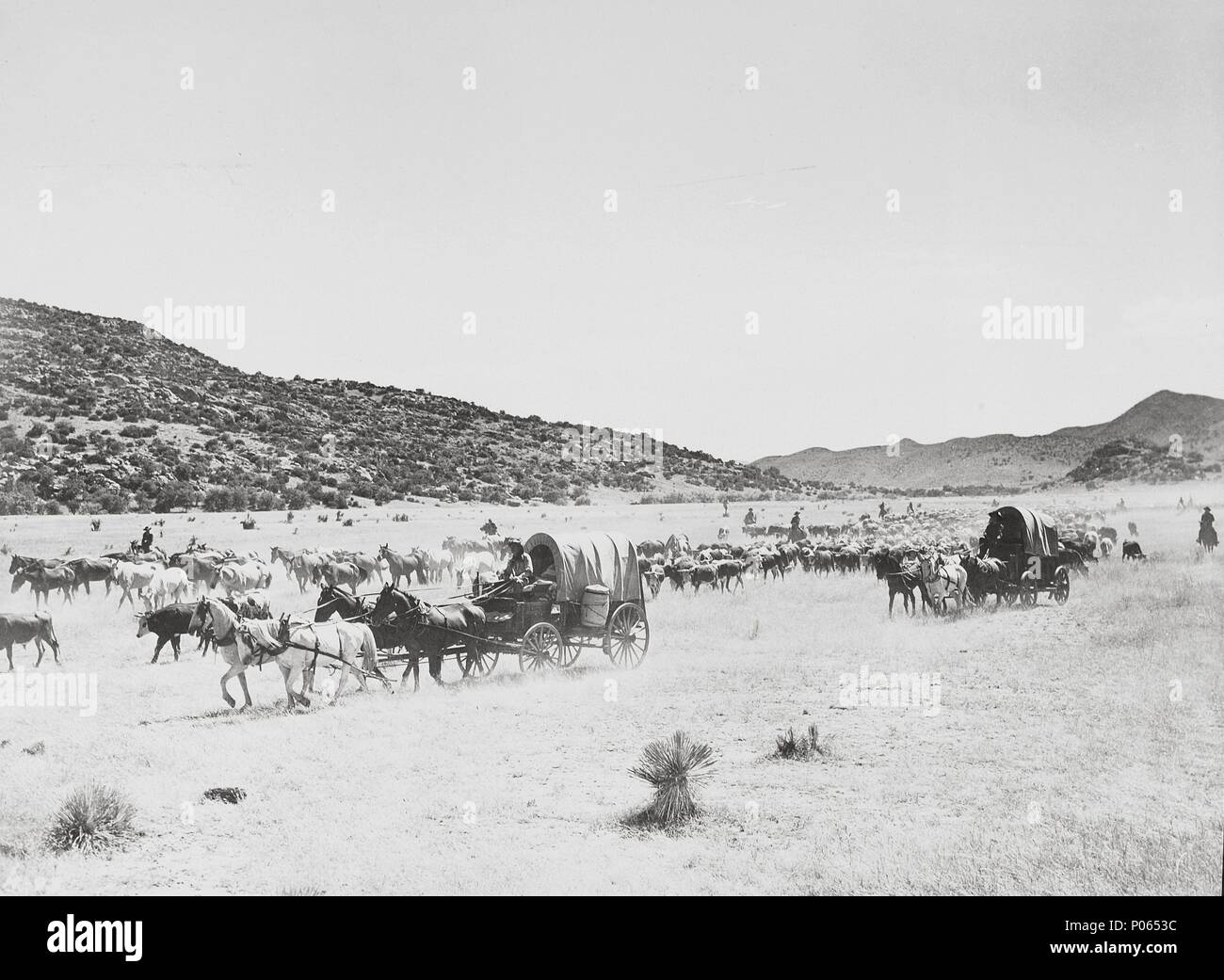 Original Film Title: RED RIVER. English Title: RED RIVER. Film Director ...