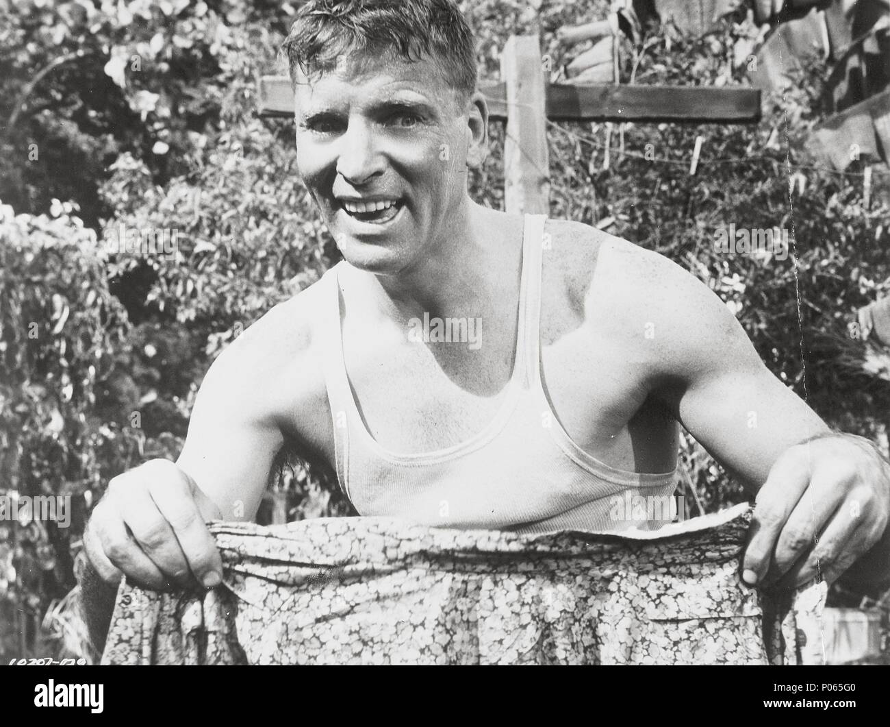 The rose tattoo 1955 burt lancaster hi-res stock photography and images ...