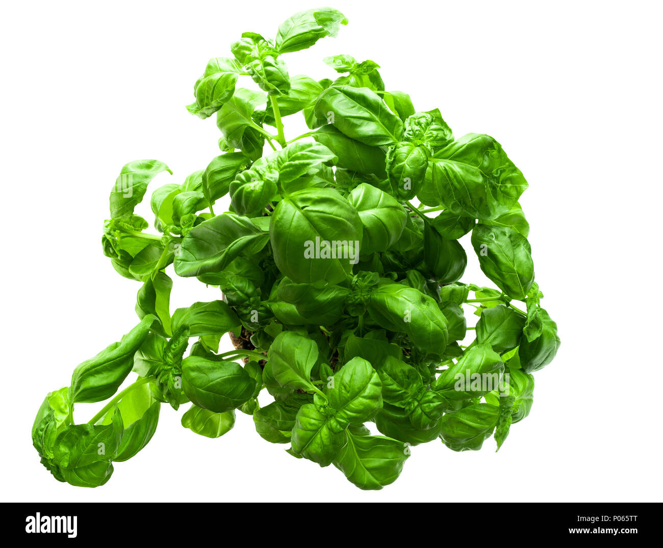 Top view hi-res stock photography and images - Alamy