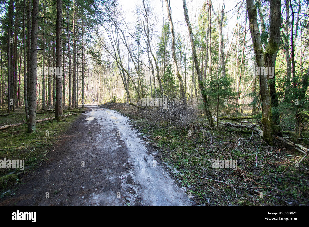 empty gravel road with tracks of mud in the countryside in summer heat ...