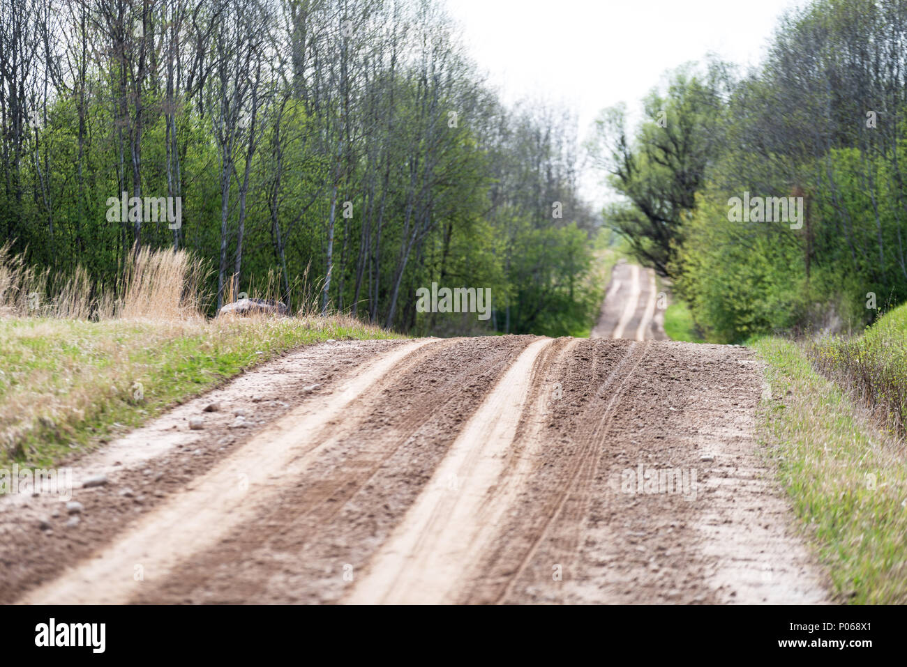 empty gravel road with tracks of mud in the countryside in summer heat ...