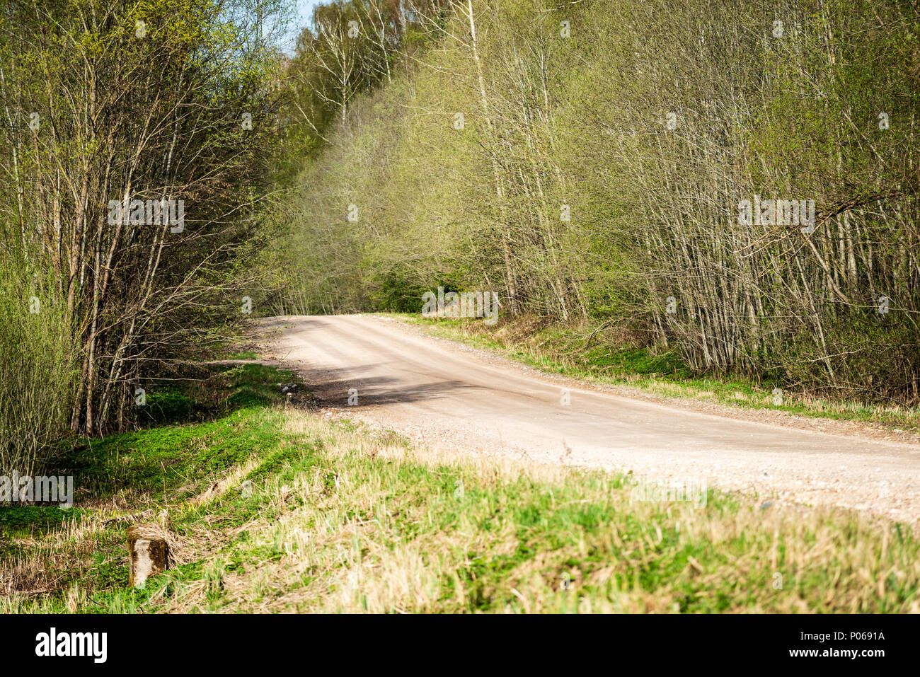 empty gravel road with tracks of mud in the countryside in summer heat ...