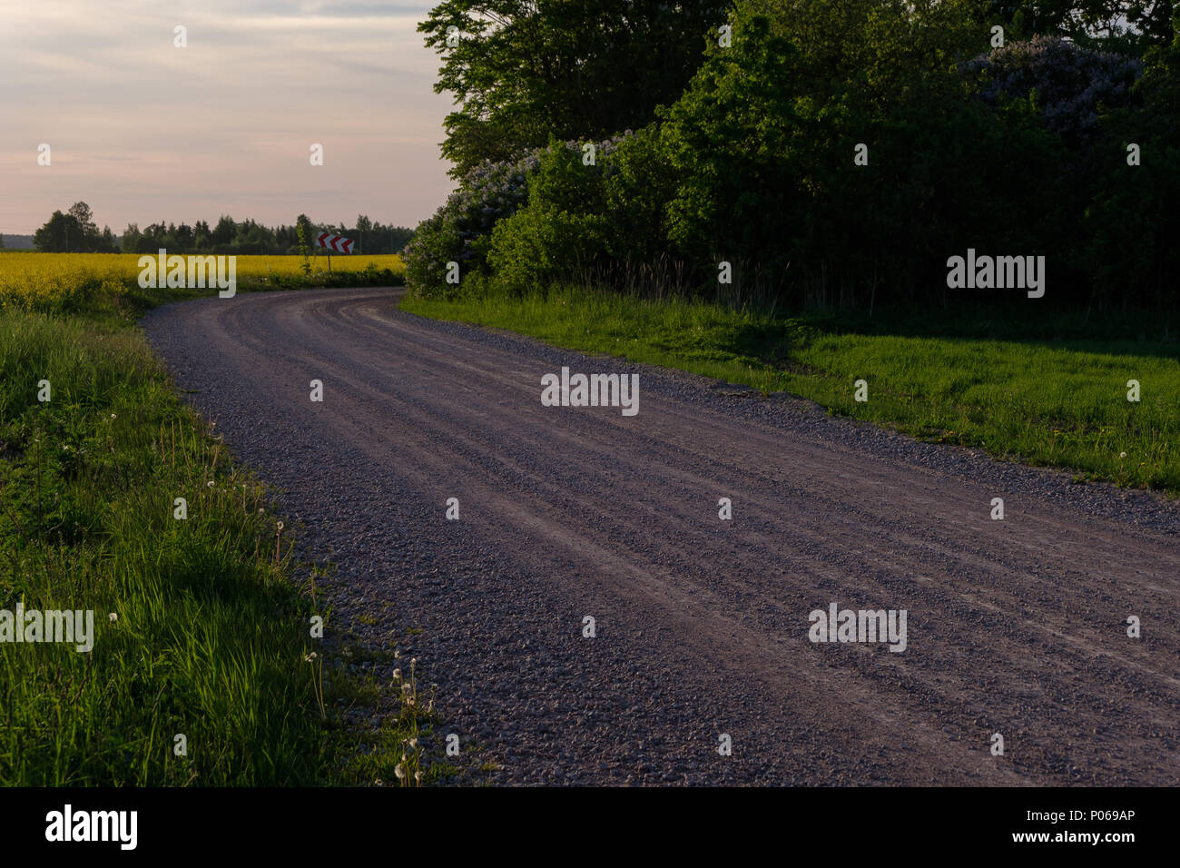 empty gravel road with tracks of mud in the countryside in summer heat ...