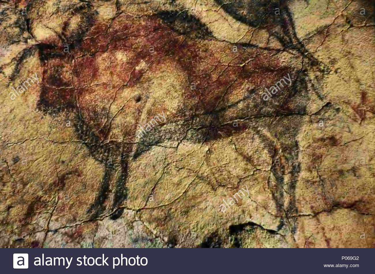 Altamira Bison Stock Photos & Altamira Bison Stock Images - Alamy