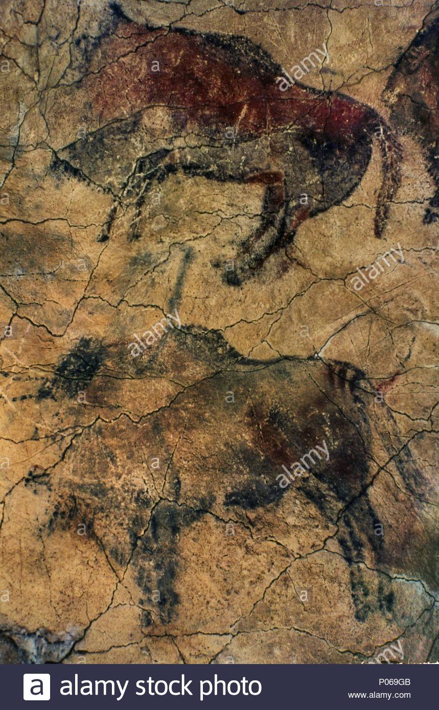 Altamira Bison Stock Photos & Altamira Bison Stock Images - Alamy