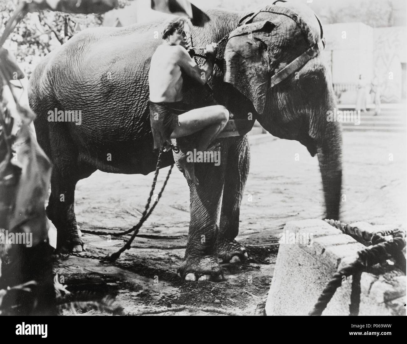 Original Film Title: TARZAN AND THE SLAVE GIRL. English Title: TARZAN ...