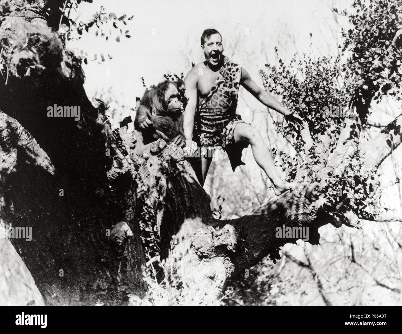 Original Film Title: THE REVENGE OF TARZAN. English Title: THE REVENGE ...