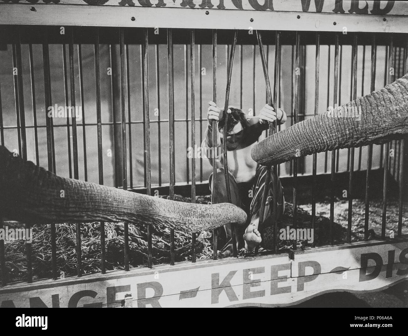 Original Film Title: TARZAN'S NEW YORK ADVENTURE. English Title: TARZAN ...