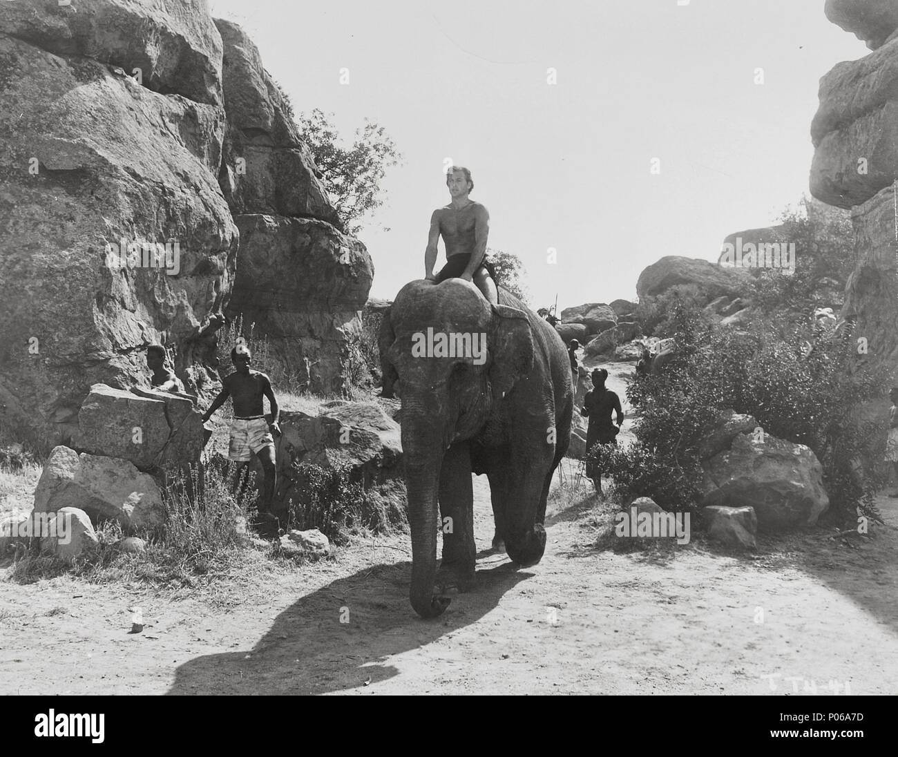 Original Film Title: TARZAN'S SAVAGE FURY. English Title: TARZAN'S ...