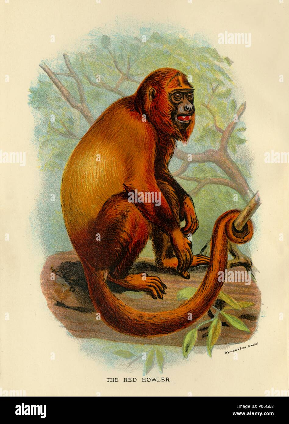 Henry Ogg High Resolution Stock Photography and Images - Alamy