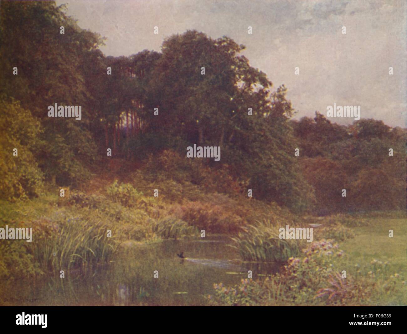 'A Brook', 1910. Artist: Harold Sutton Palmer Stock Photo - Alamy