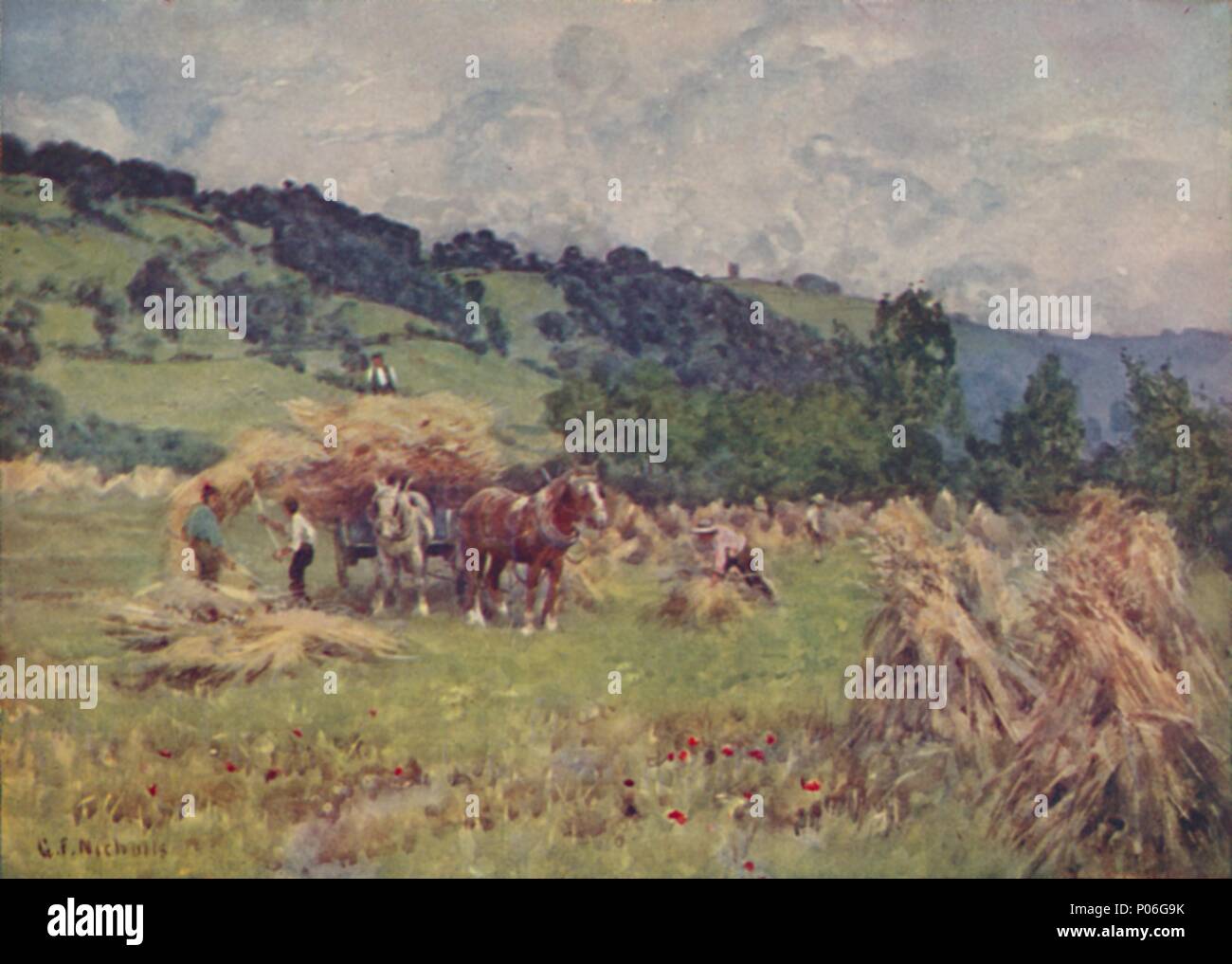 G f nicholls hi-res stock photography and images - Alamy