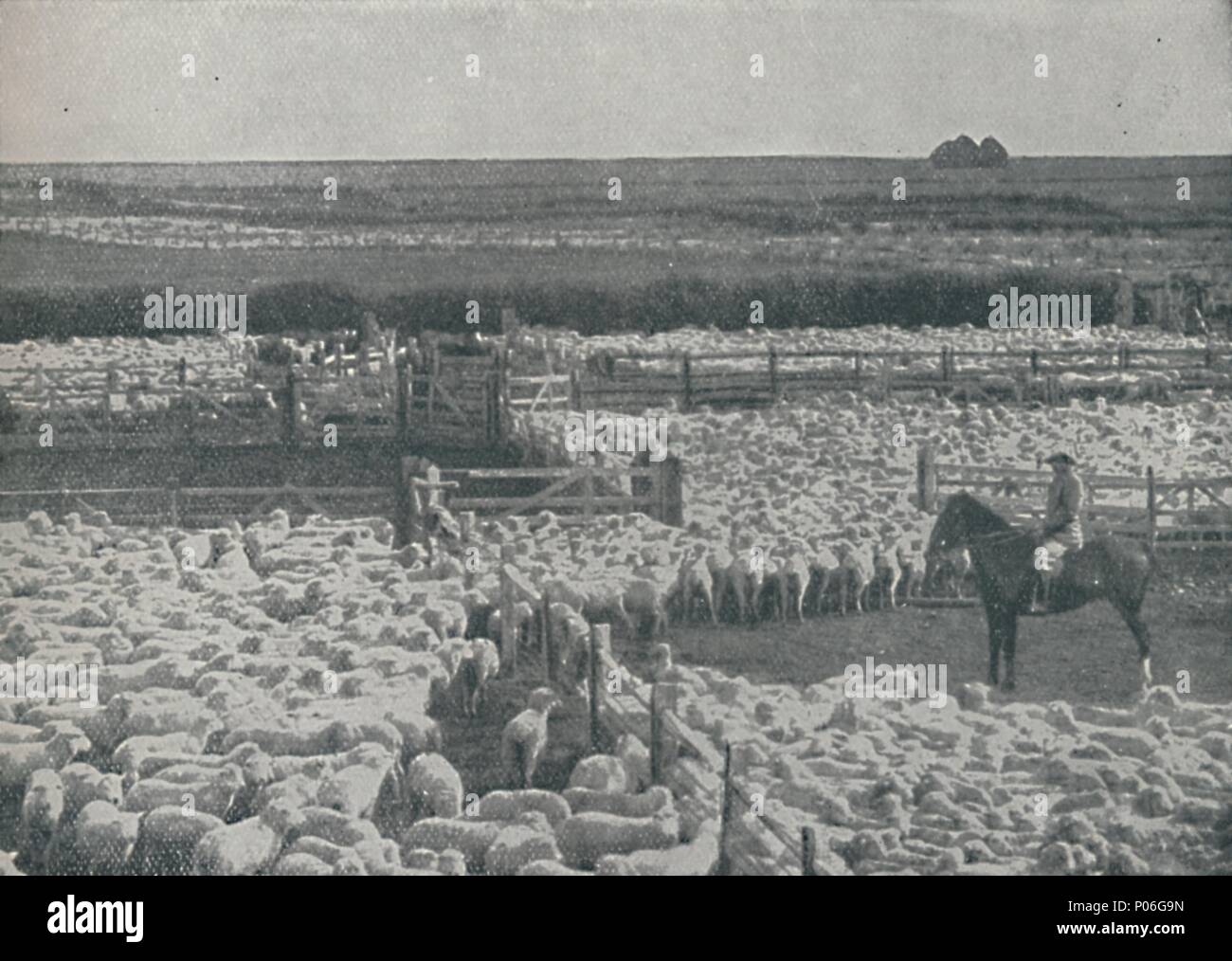 Sheepfolds hi-res stock photography and images - Alamy