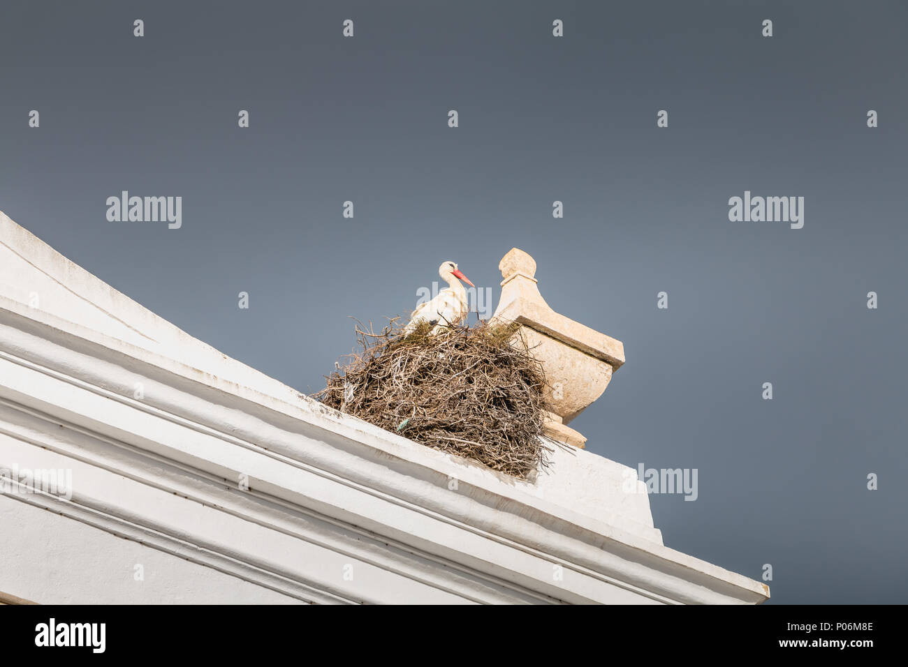 White stork nesting faro algarve hi-res stock photography and images ...