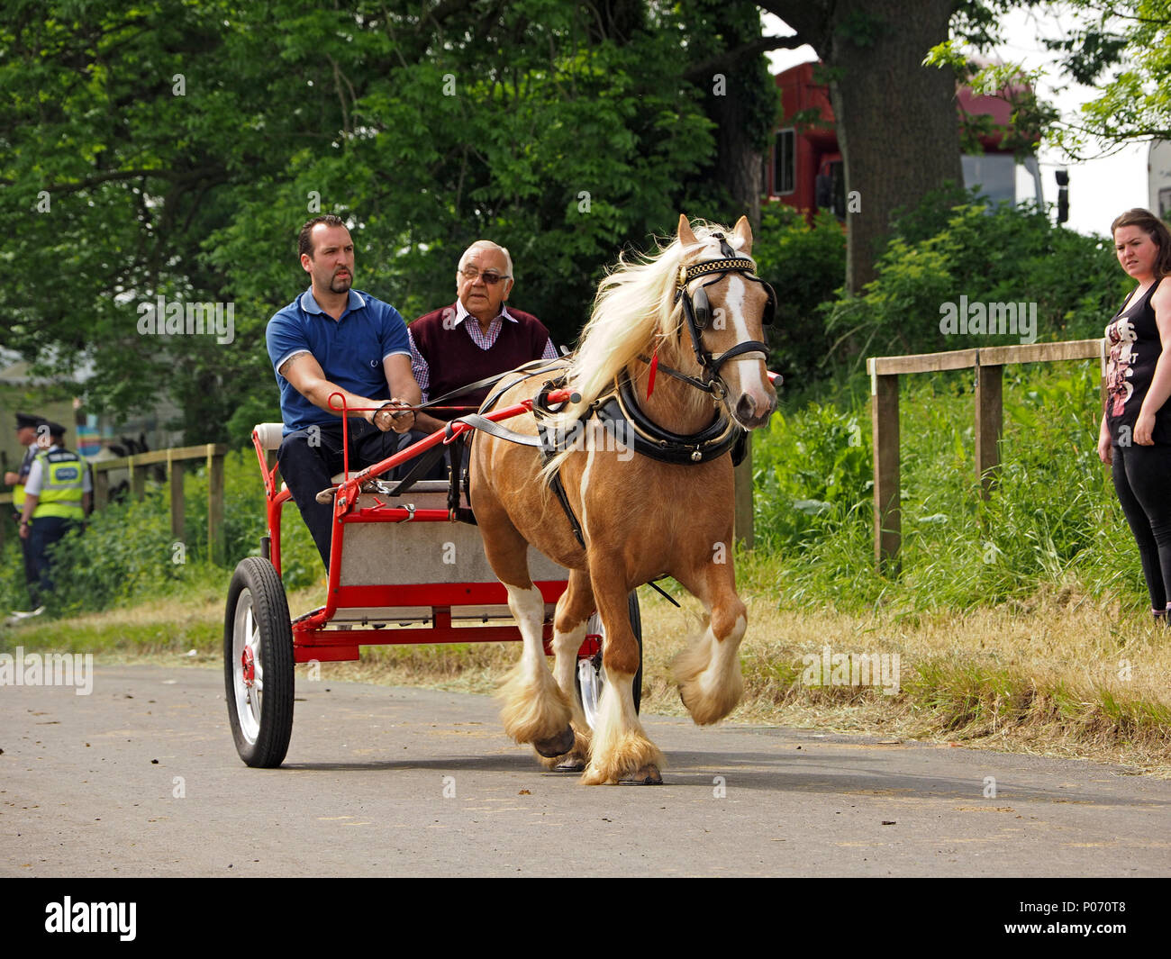horse drawn trap driven by two men, one with an eye-patch on the hill ...