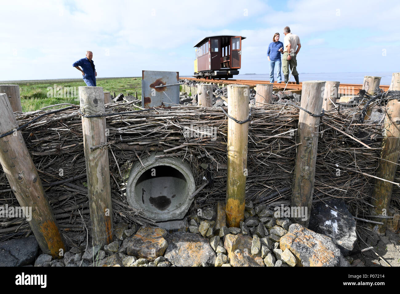 05 June 2018, Germany, Oland : An artificial dam with a fox trap on the ...