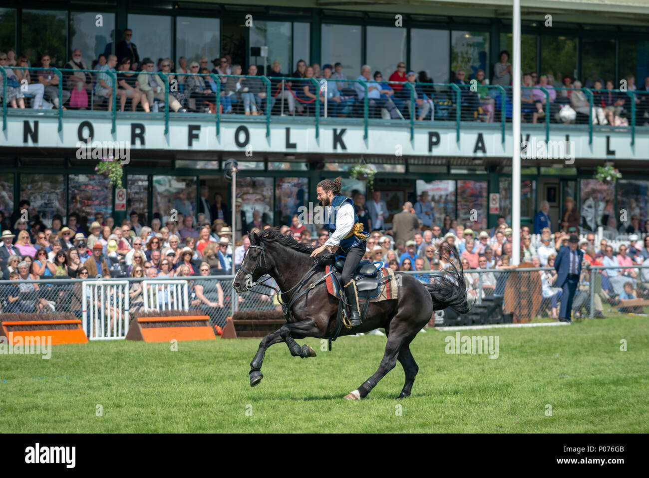 Action horses hi-res stock photography and images - Alamy