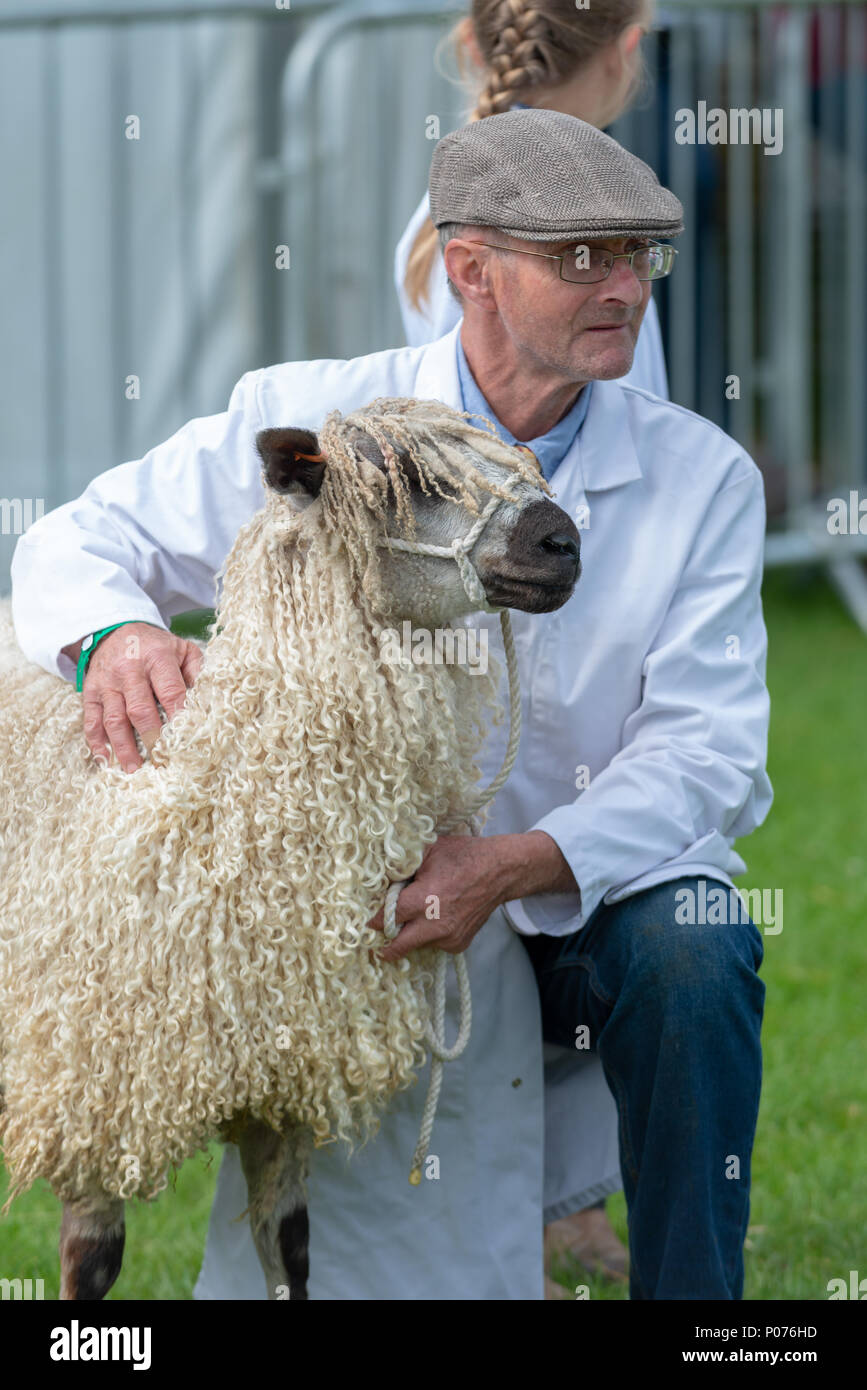Rare breeder in the south of england hi-res stock photography and ...