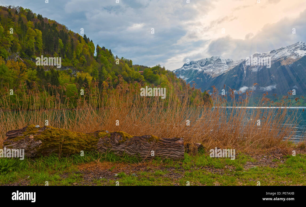 Brienz landscape hi-res stock photography and images - Alamy