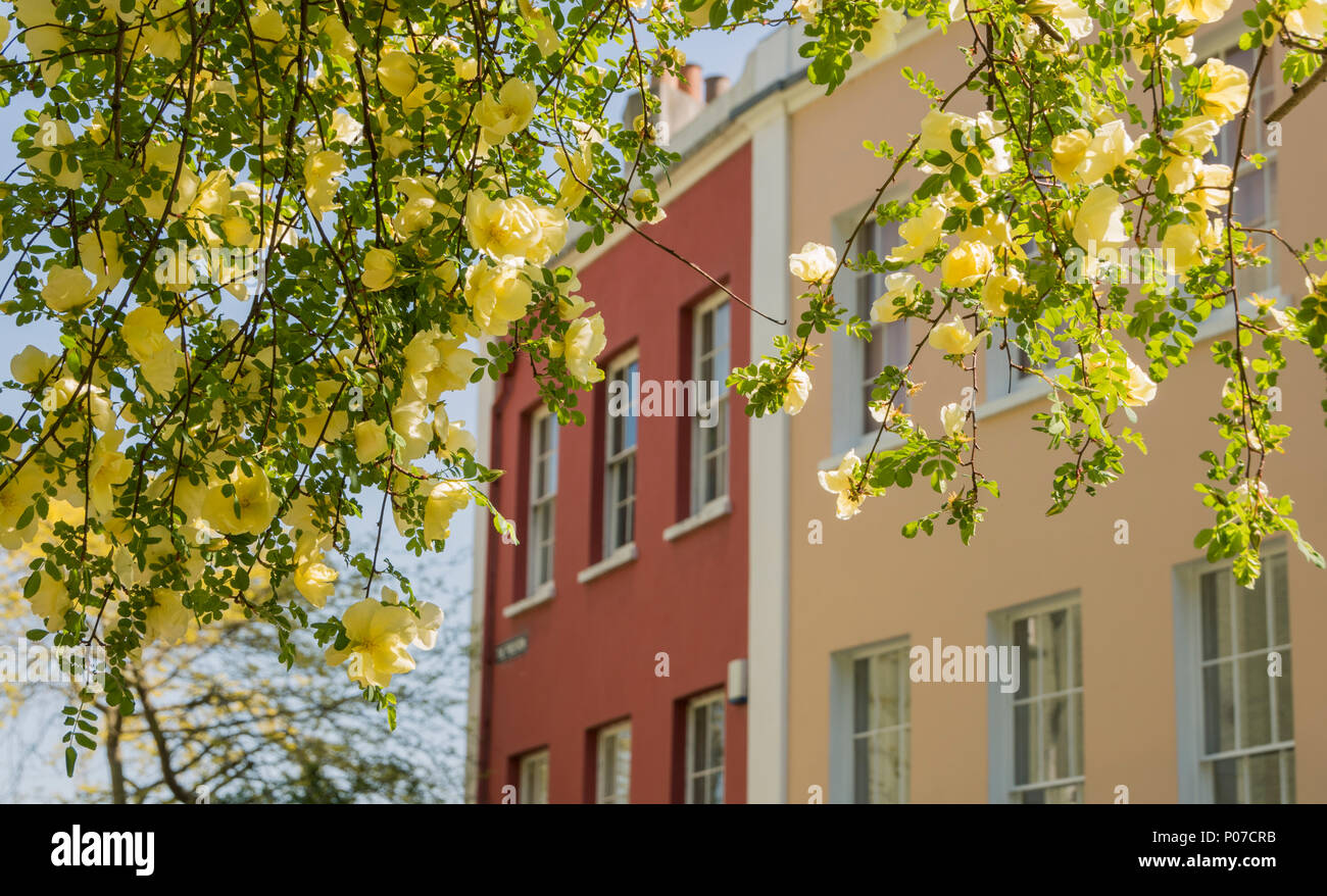 The polygon bristol hi-res stock photography and images - Alamy
