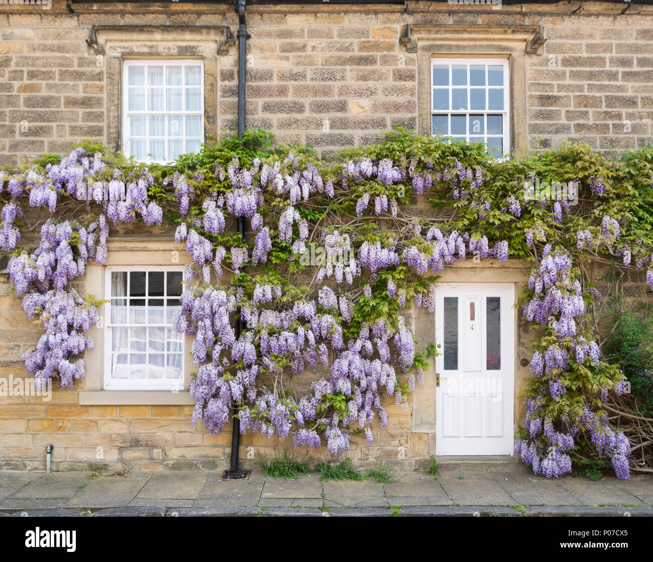 Wisteria cottage hi-res stock photography and images - Alamy