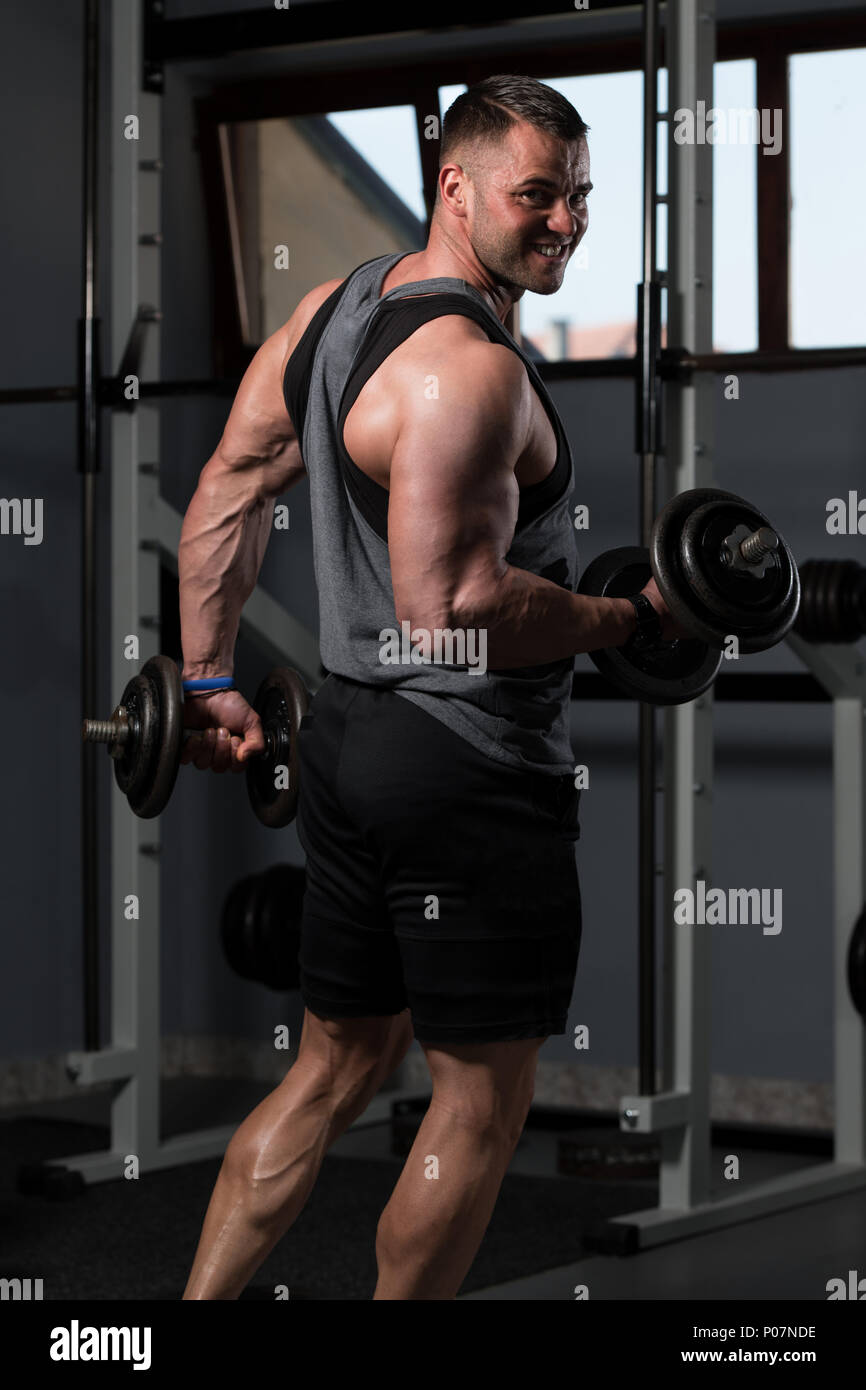 Athlete Working Out Biceps In A Gym - Dumbbell Concentration Curls ...