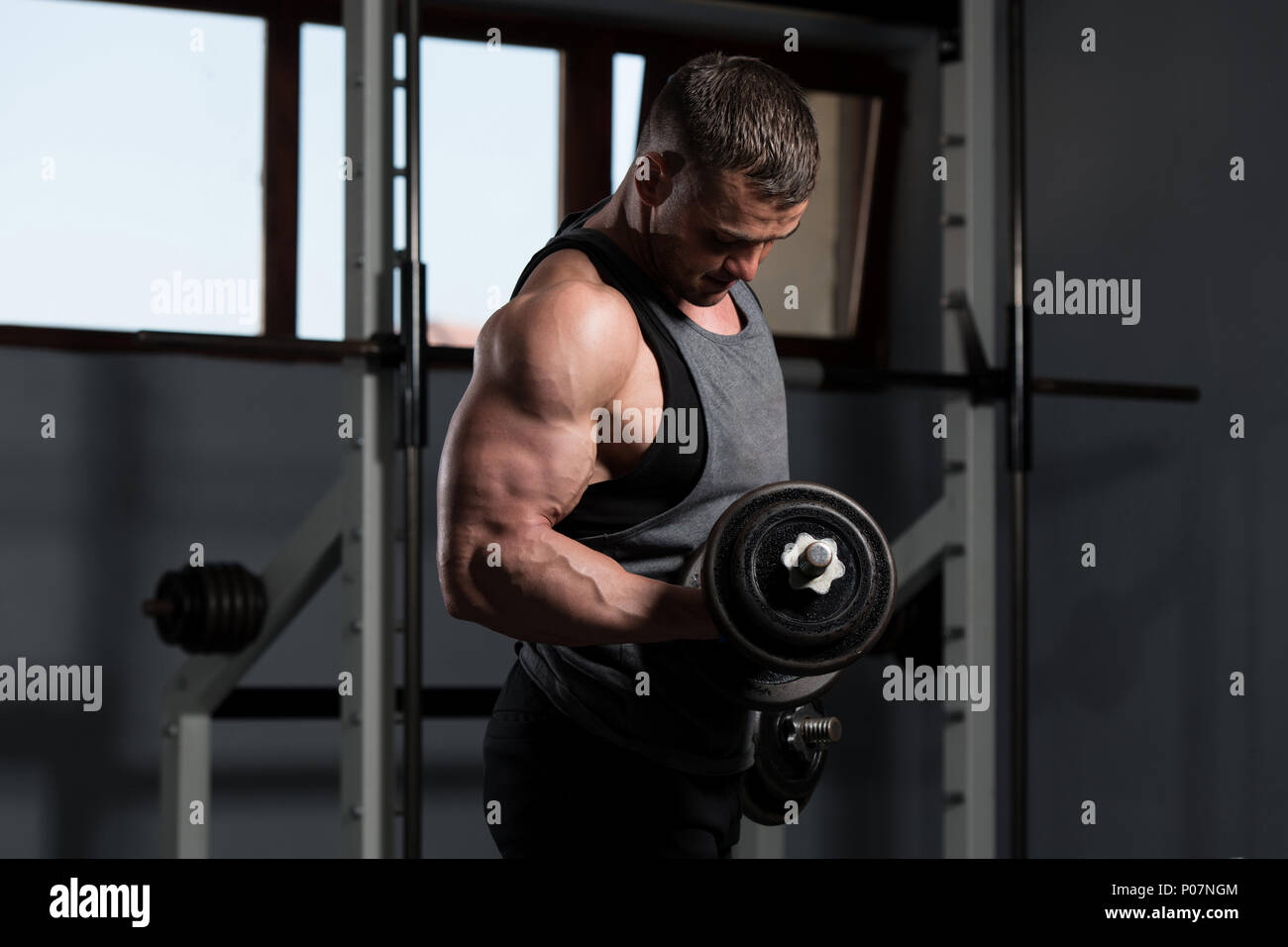 Man Working Out Biceps In A Gym - Dumbbell Concentration Curls Stock ...