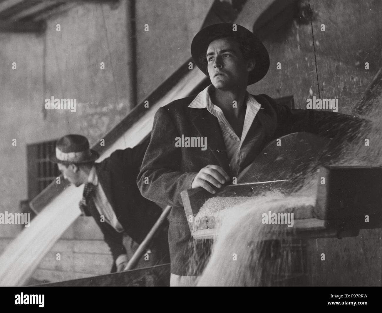 Original Film Title: RISO AMARO. English Title: BITTER RICE. Film ...